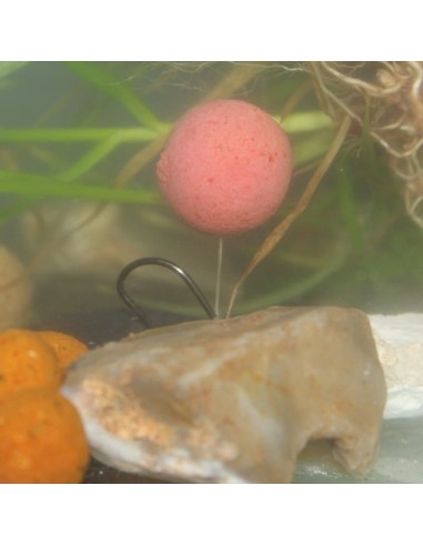 Wafter- dumbell - peche de la carpe: roule tes bouillettes.com